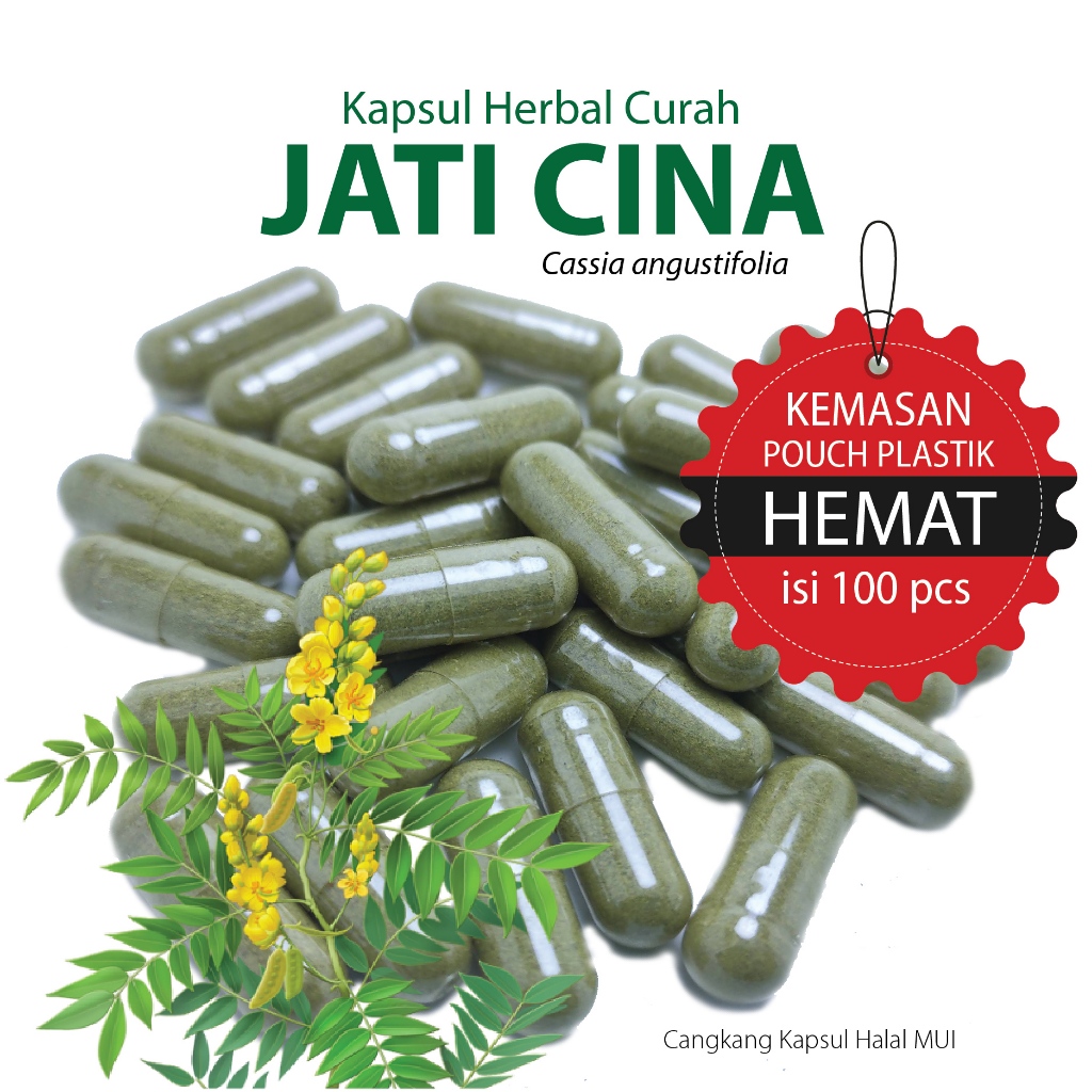 Jual JATI CINA Kapsul Herbal Langsing Alami Kemasan Hemat Isi 100 pcs ...