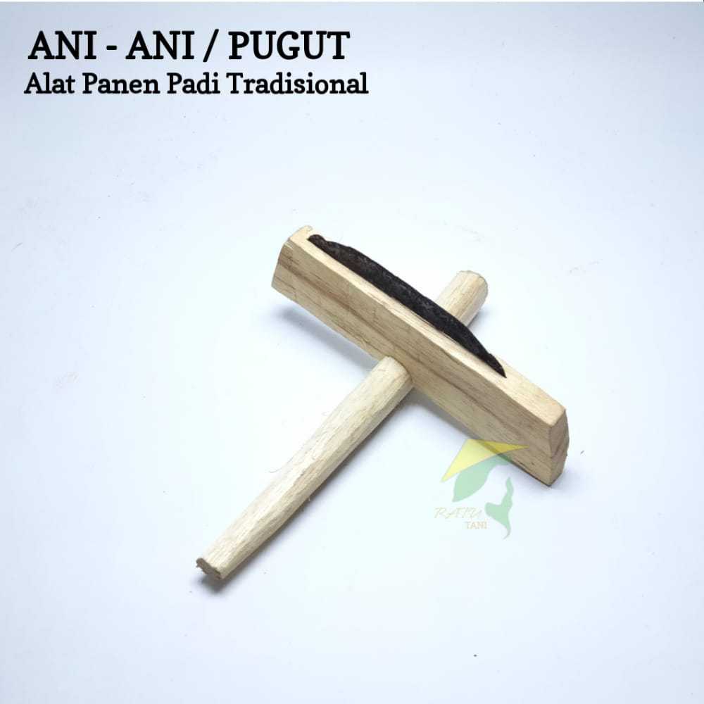 Jual Ani - ani / Pugut / Ketam (Alat Panen Padi / Sayuran Dll) Alat ...
