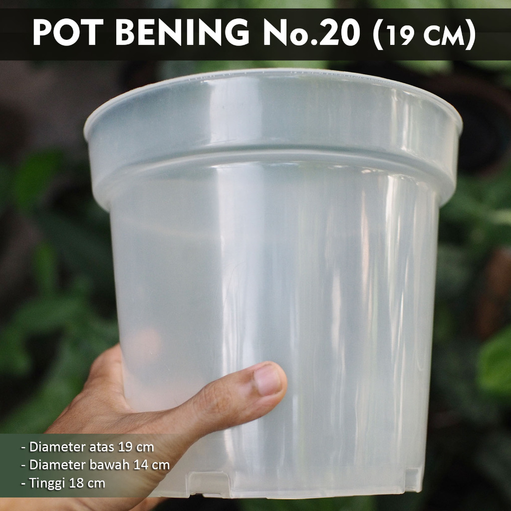 Jual Pot Bening Plastik No.20 (19 cm) - Pot Bening Poros - Pot Bening ...