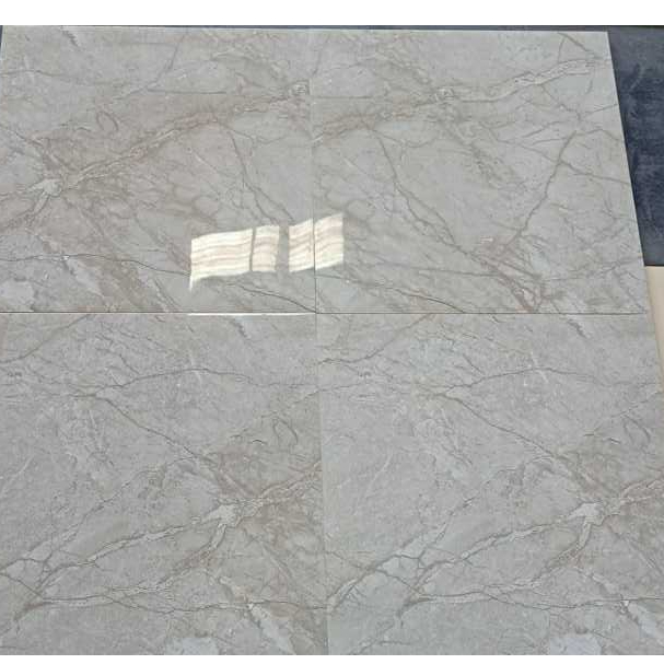 Jual GRANIT SUNPOWER 60X60 66142 | Shopee Indonesia