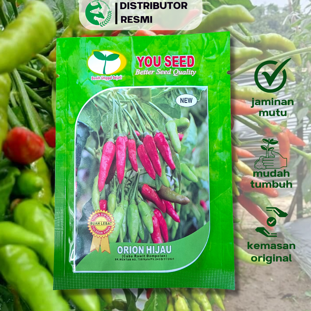 Jual Benih Cabe Rawit Dompolan ORION HIJAU 10 gr Asli Cap YOU SEED ...