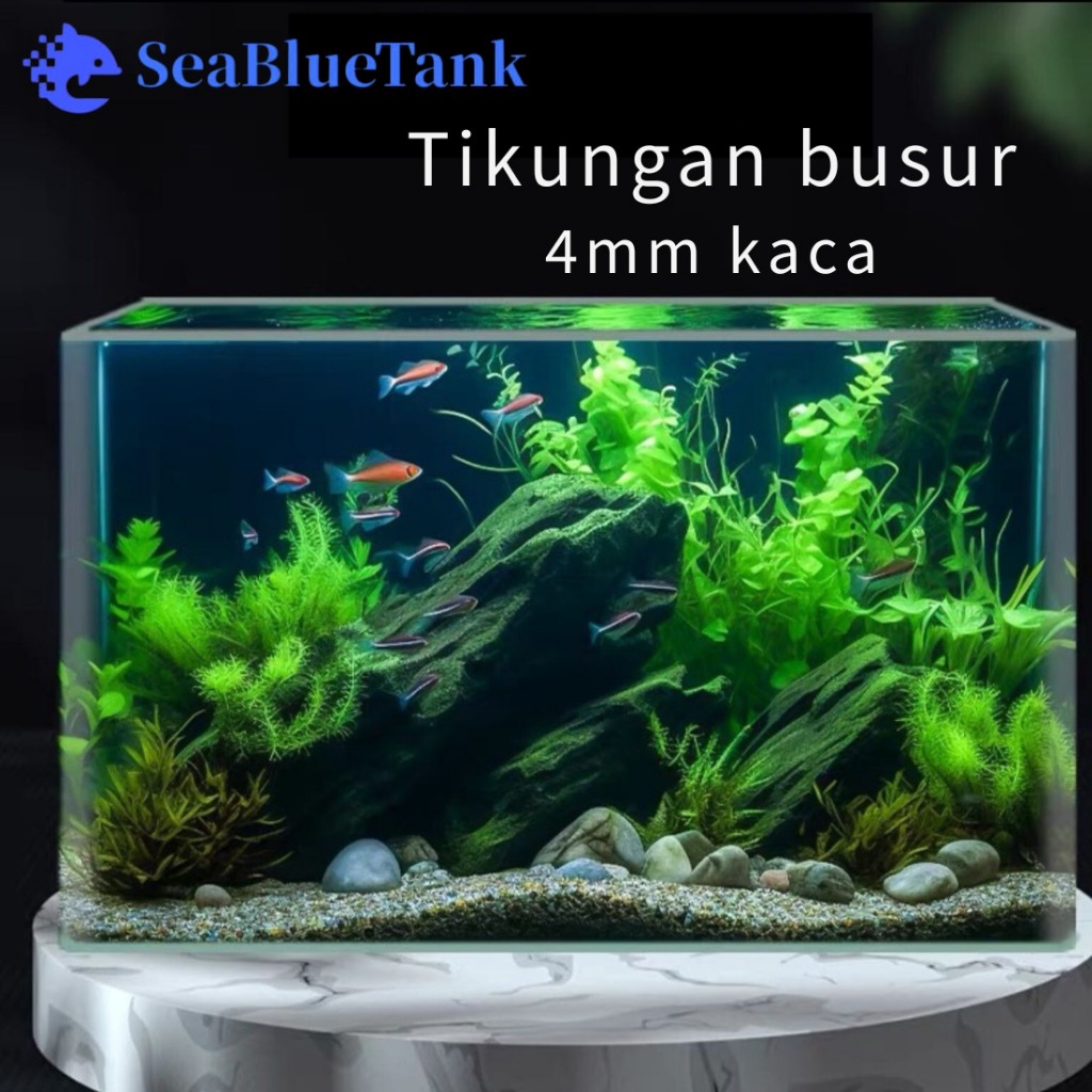 Jual SBT Akuarium Ikan Jr412 4MM (18/20/25 cm) Tangki Ikan Mini dengan ...