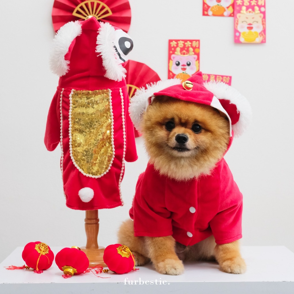 Jual Furbestie by Pomapoo- Kostum Kucing dan Kostum Anjing Barongsai ...
