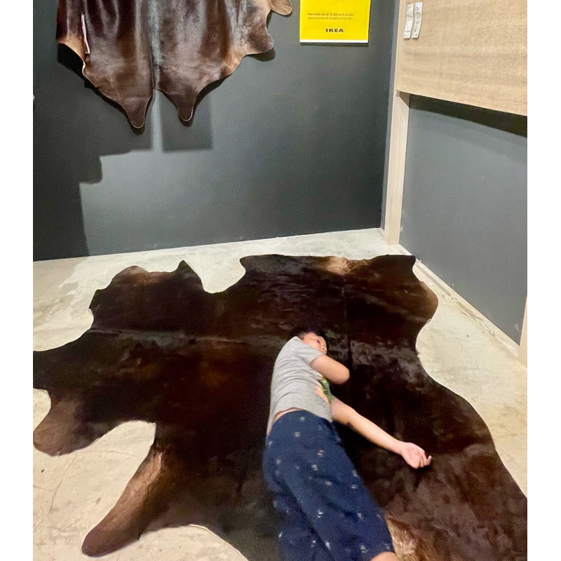 Jual Karpet kulit sapi KOLDBY IKEA | Shopee Indonesia