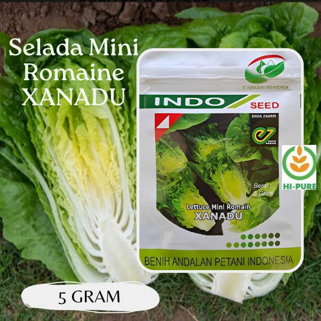 Jual Benih Selada Lettuce Mini Romaine XANADU Isi 5 Gram Indogreen ...