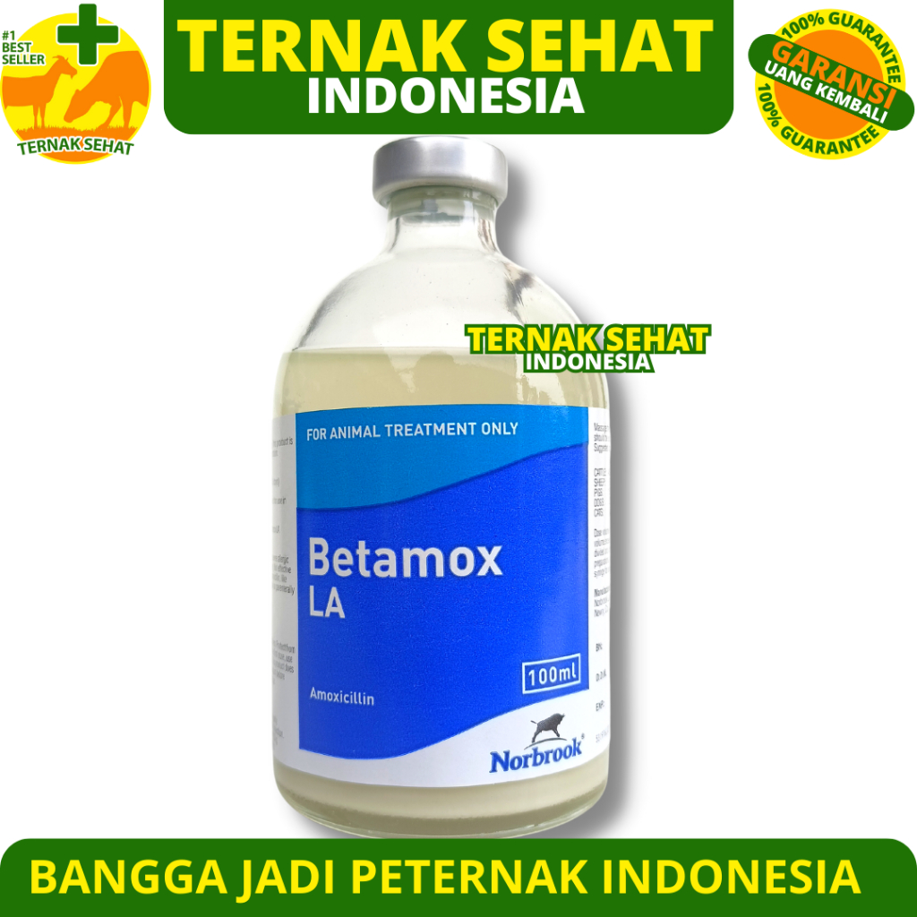 Jual BETAMOX LA 100ml Inj - Antibiotik Pencernaan Untuk Hewan Ternak ...