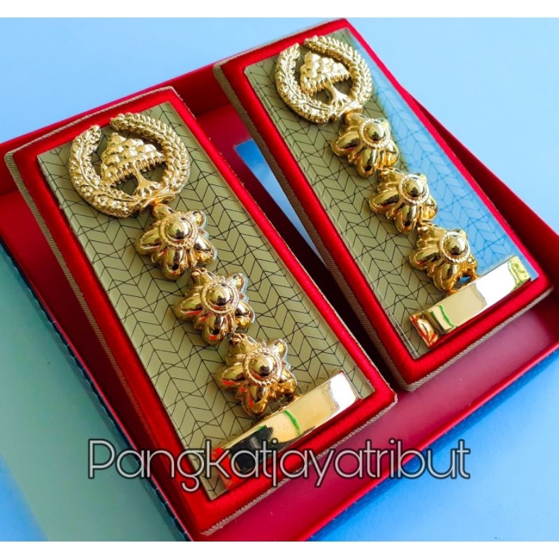 Jual pangkat PNS/ASN GOLONGAN 3D list merah dasar mika kualitas ...