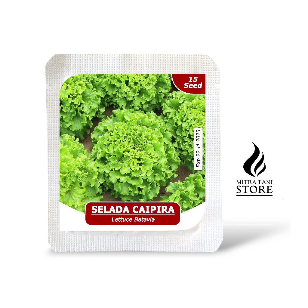 Jual Benih Selada Caipira Selada Import Home Garden Seed 15 Butir ...