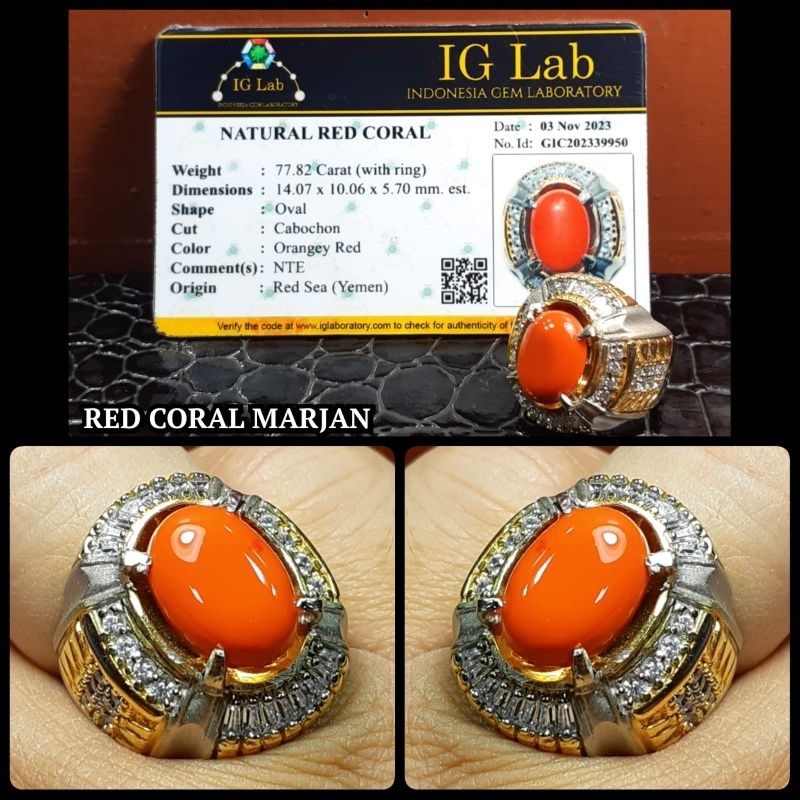 Jual ORIGINAL BATU RED CORAL YEMEN ( NTE YA ) | Shopee Indonesia