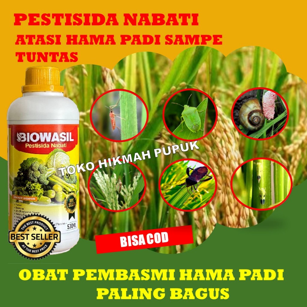 Jual PESTISIDA HAYATI BIOWASIL PEMBASMI HAMA PADI SAMPE TUNTAS isi 500 ...