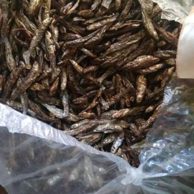 Jual 250 gram ikan Nila Salai - Bada Salai Khas Danau Maninjau | Shopee Indonesia