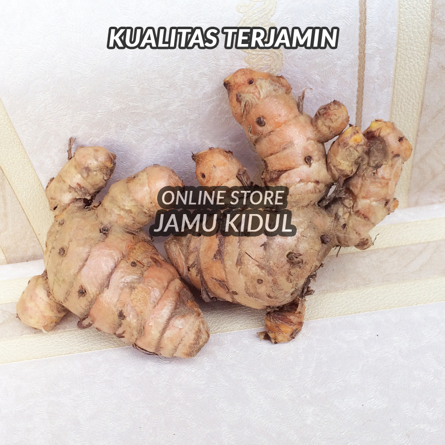 Jual Temulawak 250gr - Temu lawak Segar Organik Gunung Kidul | Shopee ...