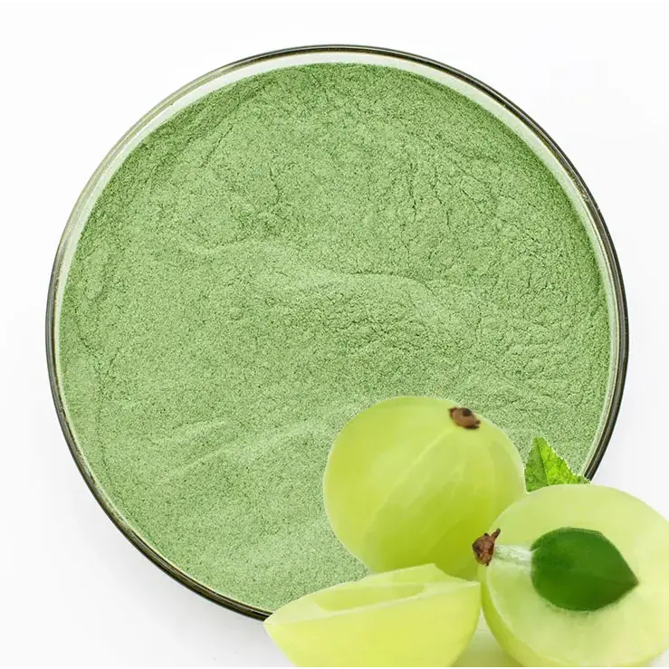 Jual Bubuk Jus Amla Mudah Larut Tanpa Ampas / Sprayed Dried Buah Malaka ...