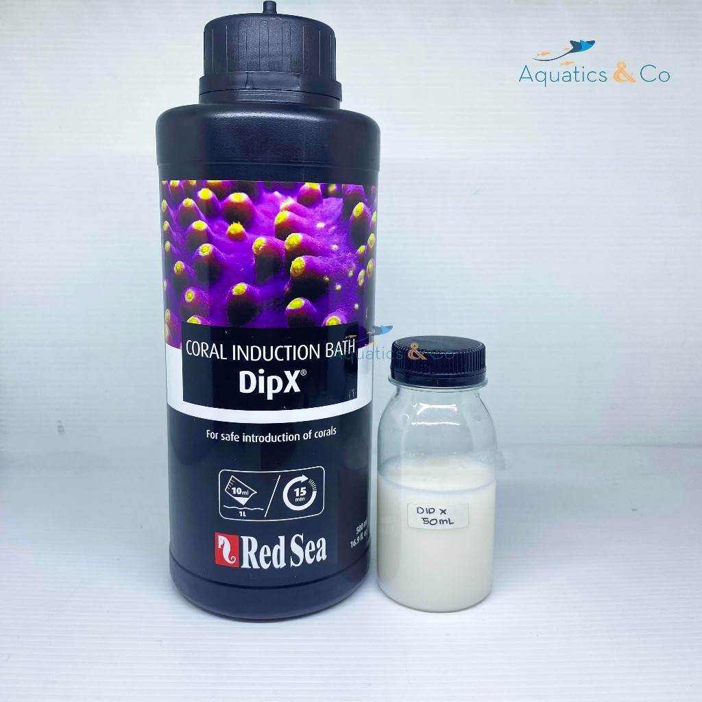 Jual Red Sea Reef DipX Repack 50ml Dip X Steril Coral 50 ml / RSDIPRP ...