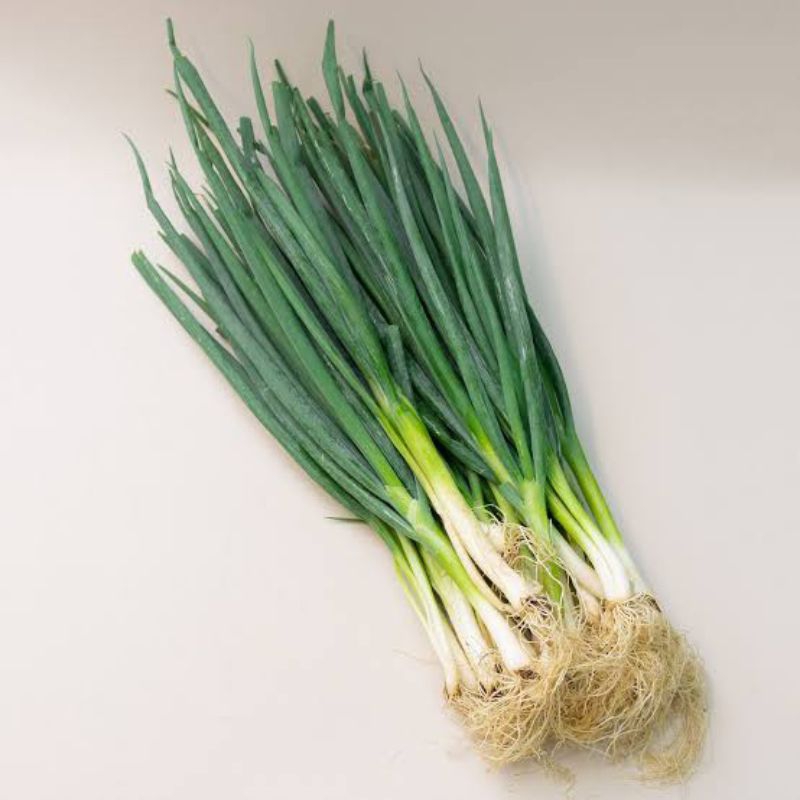 Jual Daun bawang 5 ribu | Shopee Indonesia