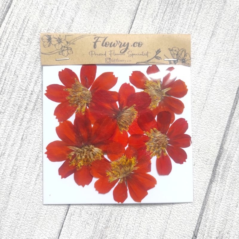 Jual 1 PACK pressed flower PART 1 bunga kering asli bahan diy craft ...
