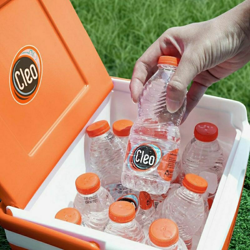 Jual Depo Air Mineral CLEO Mini 220ml isi 24 Botol Kecil Imut | Shopee ...