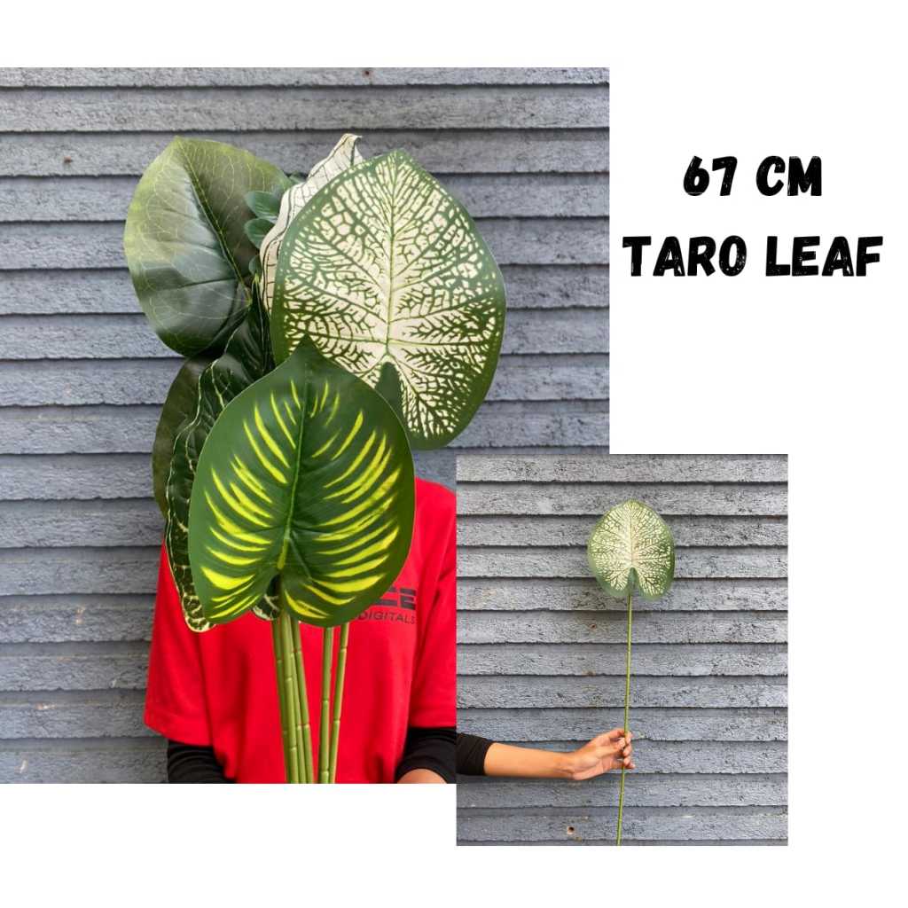 Jual ( QC ) 67CM TARO LEAF Daun Monstera Hias Palsu Ekor Naga Plastik ...