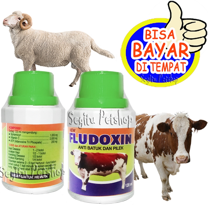 Jual Obat Pilek Sapi Kambing Sakit Flu Infeksi Pernapasan Fludoxin ...