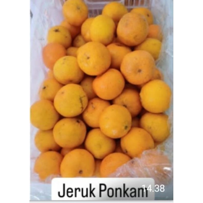 Jual jeruk ponkam 1 kg | Shopee Indonesia