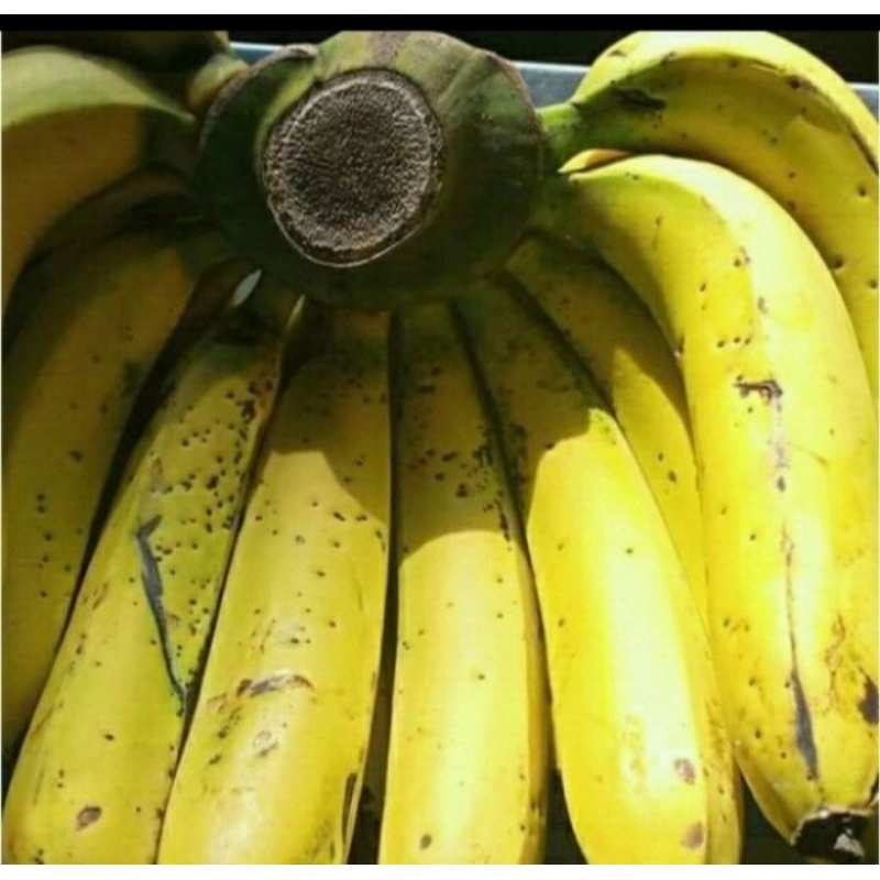 Jual Buah Pisang Ambon 1kg | Shopee Indonesia