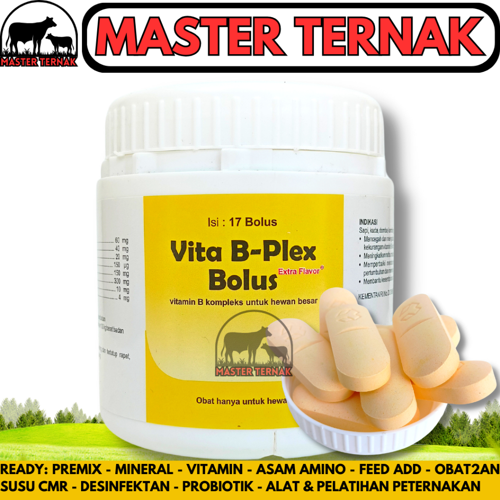 Jual VITA B PLEX BOLUS 1 POT (17 BOLUS) MEDION - Vitamin B Complex ...