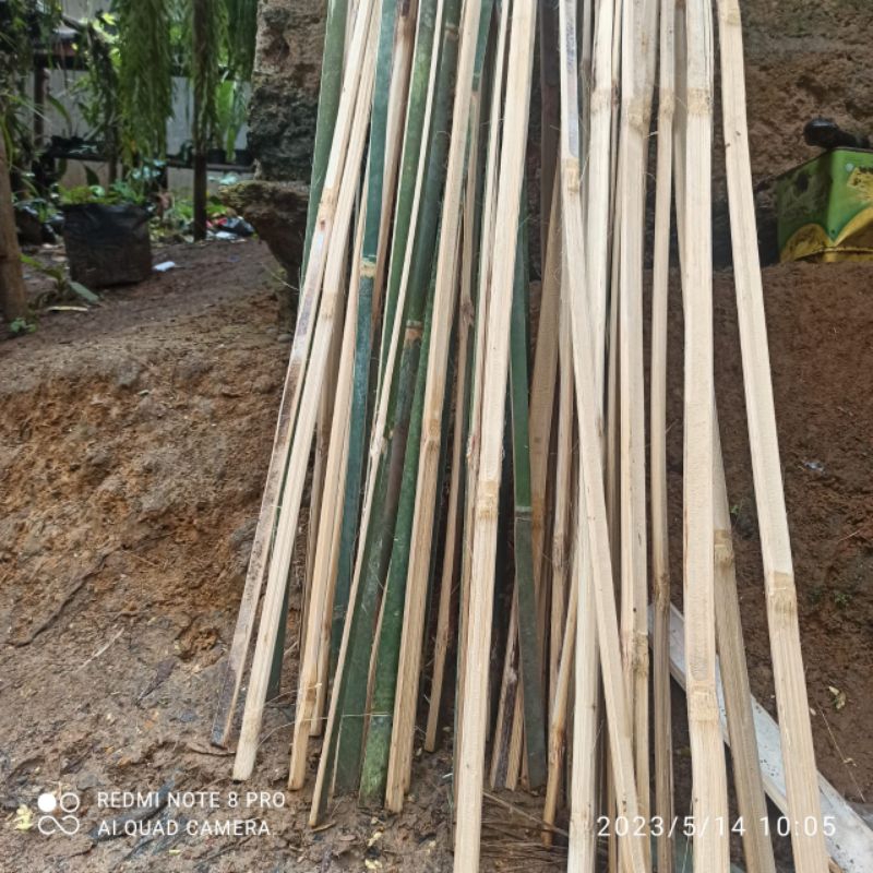 Jual Bambu bilah / bambu ajir tanaman / penyangga tanaman / panjang 200 ...