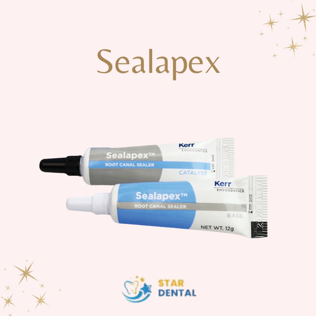 Jual Sybron Endo Sealapex Root Canal Sealer | Shopee Indonesia