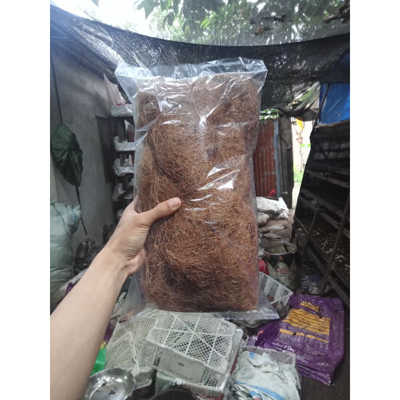 Jual COCOFIBER/SERAT SABUT KELAPA (SEBAGAI MULSA ORGANIK & FILTER ...