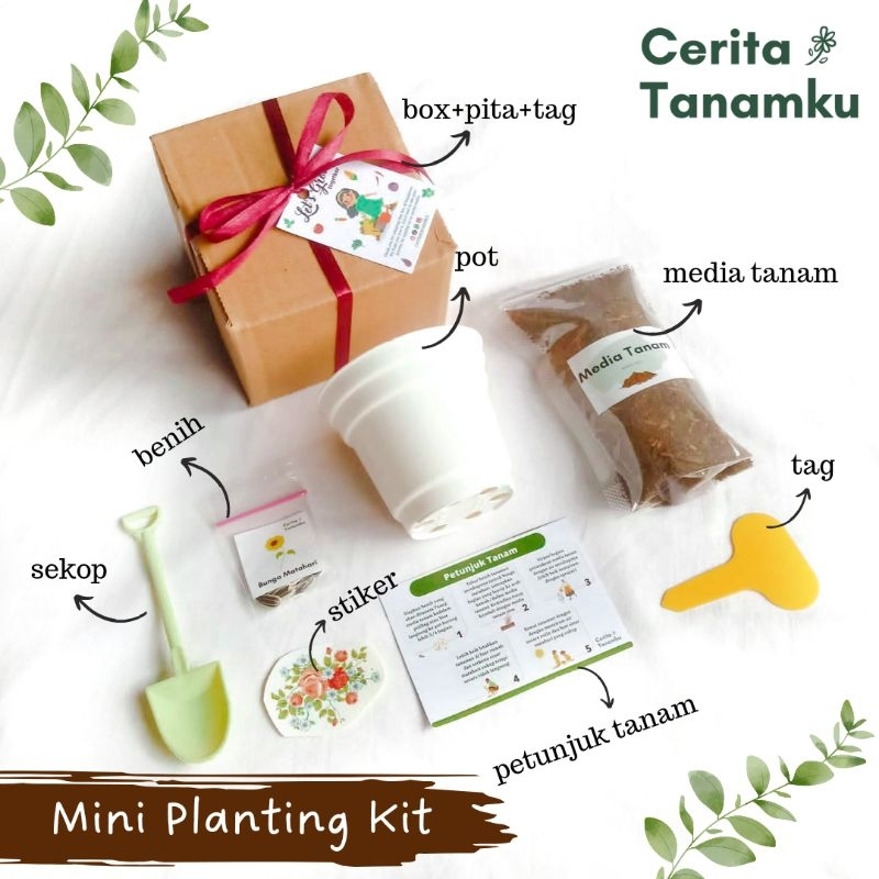 Jual Mini Planting kit /grow kit / paket menanam / hampers / gift box ...