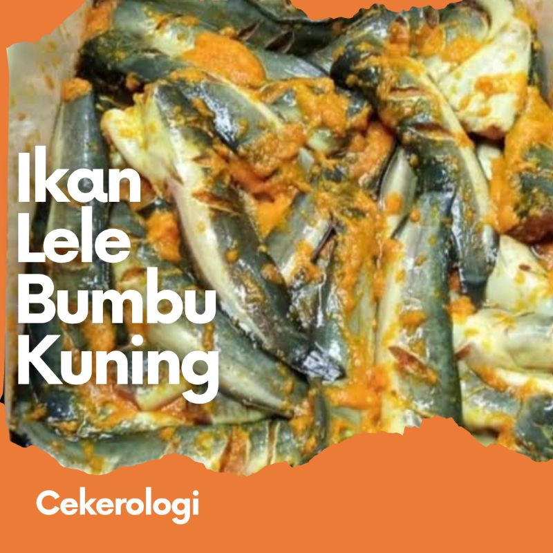 Jual Ikan Lele Bumbu Kuning Fillet isi 4 / Ikan Lele Bumbu Kuning ...
