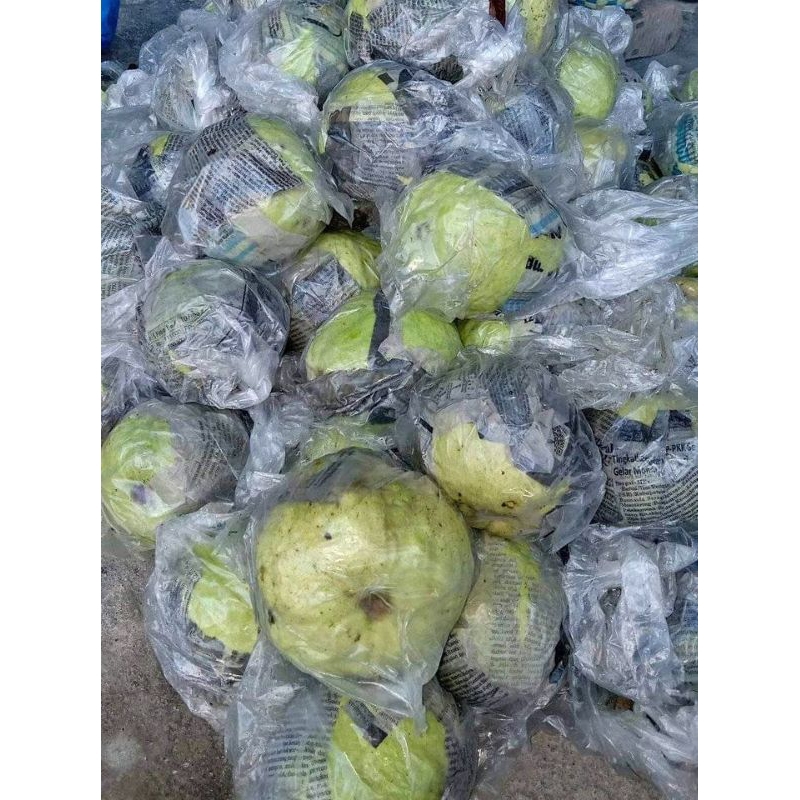 Jual Jambu biji putih / jambu klutuk berat 1 kg | Shopee Indonesia