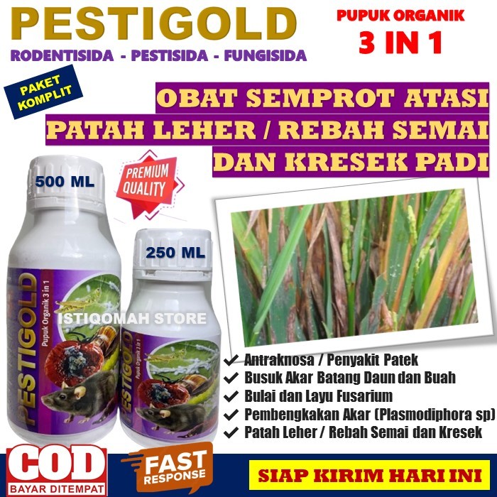 Jual Obat Semprot Hama Penyakit Kresek Pada Tanaman Padi Paling Ampuh ...