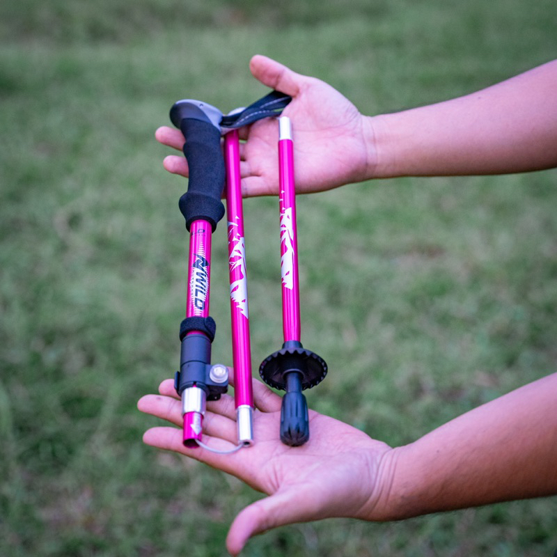 Jual Trekking Pole Lipat Aluminium Anti karat WILDSHELL | Shopee Indonesia