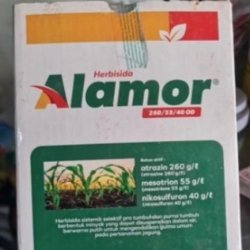 Jual Alamor 800 Ml atrazin mesotrion herbisida sistemik racun rumput ...