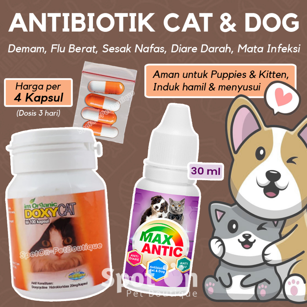 Jual Antibiotik Kucing & Anjing | DoxyCat per 4 Butir | Max Antic ...