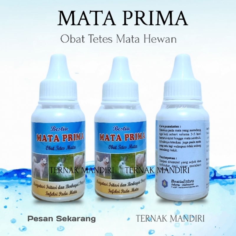 Jual MATA PRIMA 25ml Obat Tetes Mata hewan sapi kambing domba dll ...