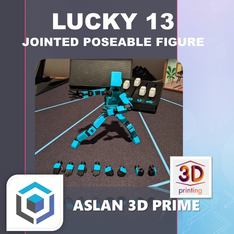 Jual LUCKY 13 JOINTED POSEABLE ACTION FIGURE DUMMY Custom Color 3D ...