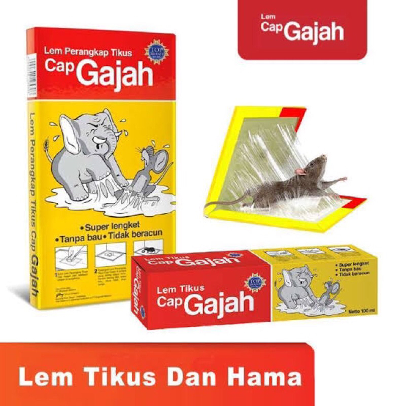 Jual LEM TIKUS CAP GAJAH - lem papan perangkap hama dan tikus 60gr ...