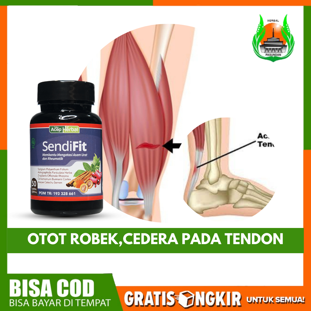 Jual Atasi Otot Robek (Strain) - Cidera Pada Tendon Ligamen Robek ...