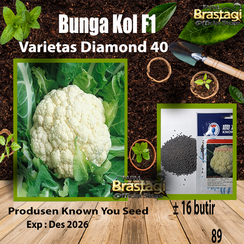 Jual FBTG - 16 Benih Bibit Bunga Kol F1 Putih Dataran Rendah Diamond 40 ...