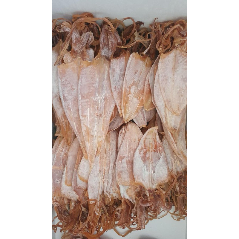 Jual sotong kering-juhi kering-sotong kalimantan-sotong pangkong-juhi ...