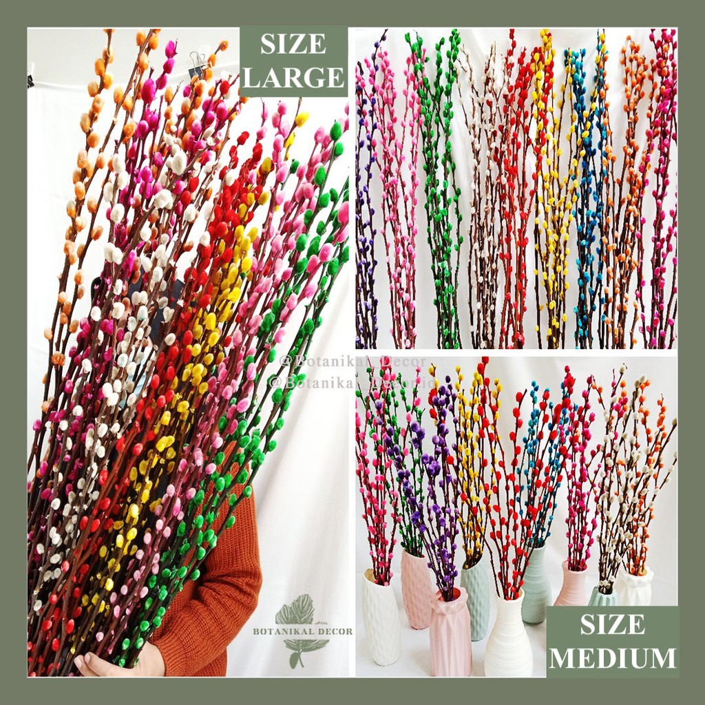 Jual (PACKING AMAN 100% QUALITY BAGUS) 9pcs Dried Pussy Willow Bunga ...
