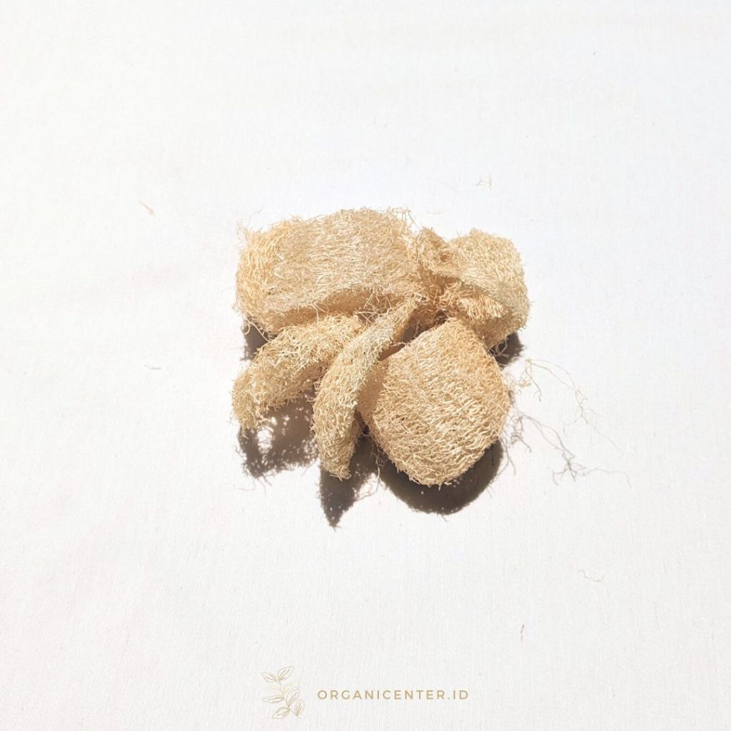 Jual Loofah Ball Sponge Bola Spons Gambas Natural Alami Sabut Cuci ...