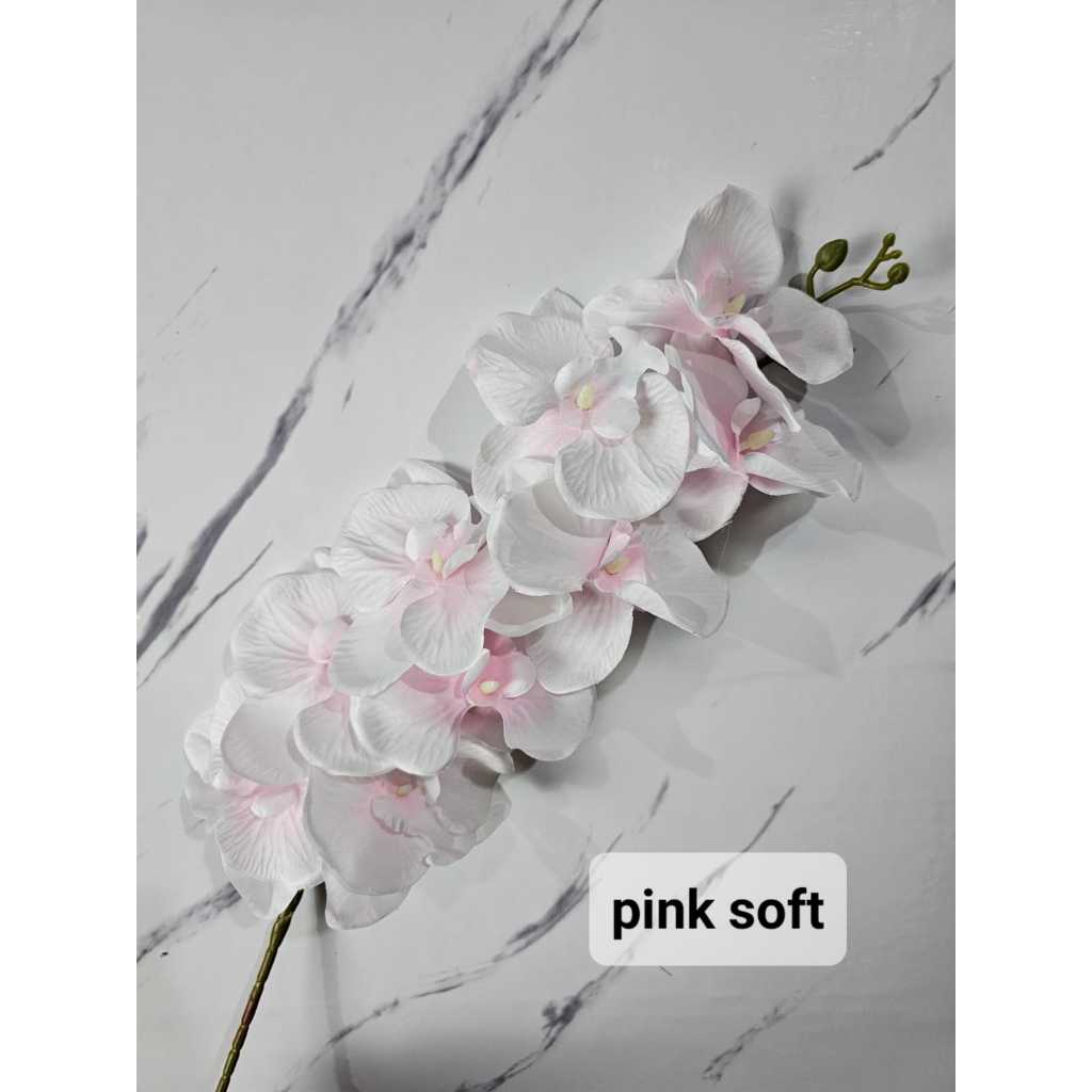 Jual ANGGREK KAIN 9 KUNTUM ANGGREK JUMBO BESAR ANGGREK HIAS ORCHID ...
