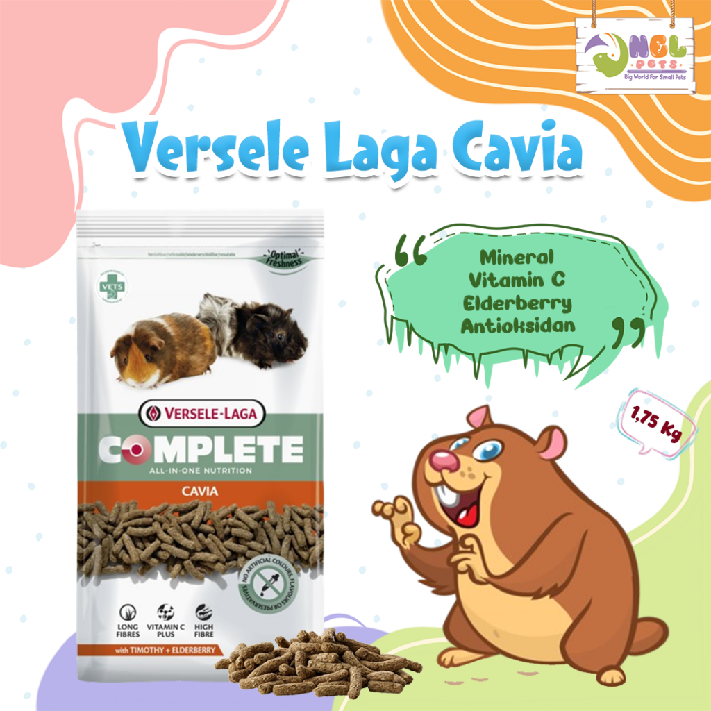 Jual VERSELE LAGA COMPLETE CAVIA / makanan marmut guinea pig 1,75 kg ...