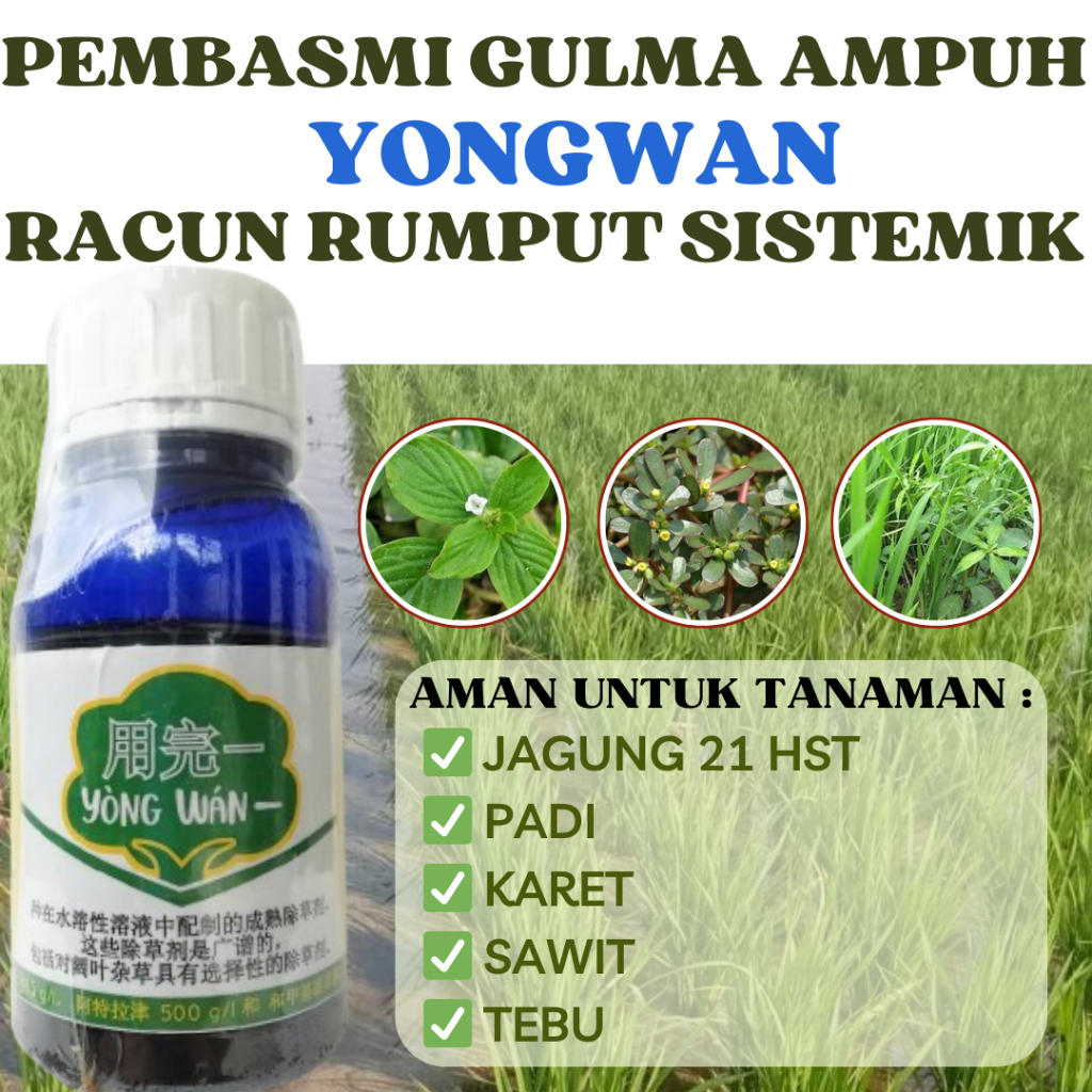 Jual Herbisida Obat Racun Pembasmi Gulma Rumput Liar Yongwan Yong Wan ...