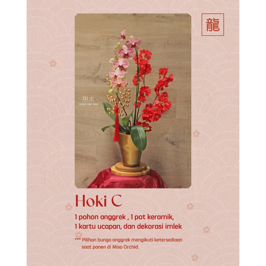 Jual Hampers Imlek Bunga Anggrek CNY | Shopee Indonesia