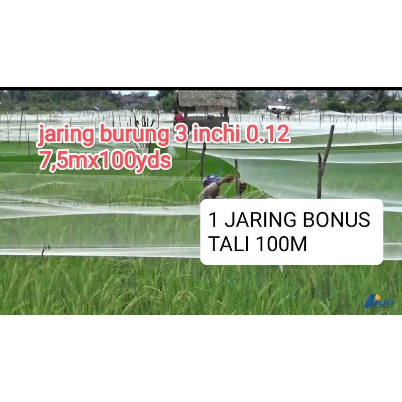 Jual Jaring burung sawah 7,5mx100yds jaring padi jaring burung perkutut ...