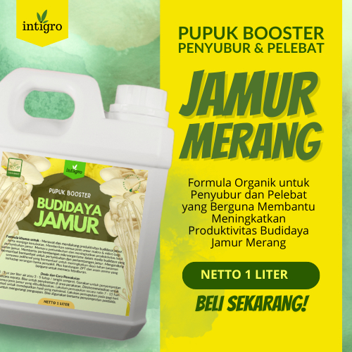 Jual Pupuk Jamur Merang / Pupuk Jamur Organik Pupuk Pelebat Jamur Pupuk Booster Jamur Pupuk ...